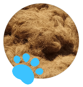 Product Features - Kocoplay