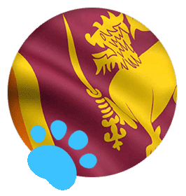 Product Features - Kocoplay