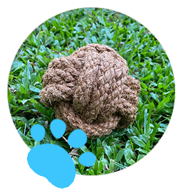 Product Features - Kocoplay