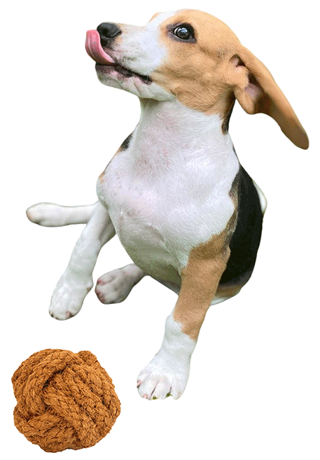 Contact Us - Kocoplay