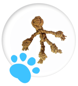 Bow Wow Products - Kocoplay